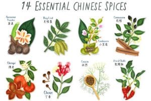 14 Essential Chinese Spices - Egg Wan's Food Odyssey