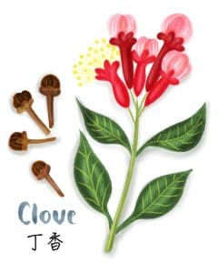 14 Essential Chinese Spices - Egg Wan's Food Odyssey
