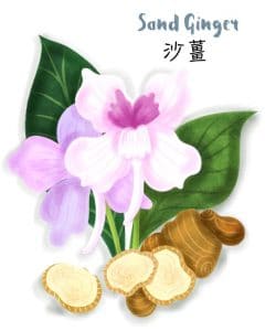 14 Essential Chinese Spices - Egg Wan's Food Odyssey