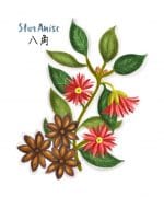 14 Essential Chinese Spices - Egg Wan's Food Odyssey